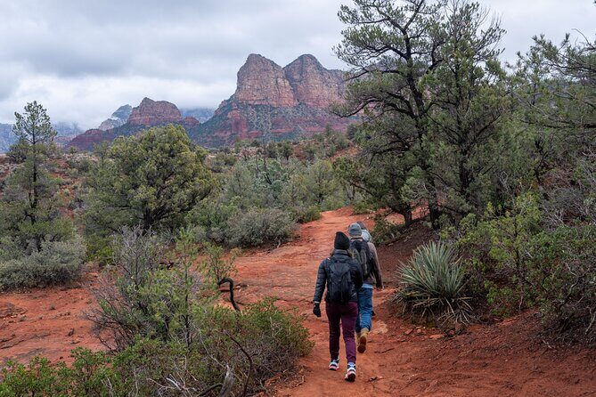 Sedona Red Rock Hike and Sights Tour - What Makes This Tour Special?