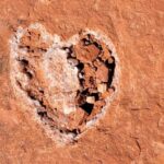 Sedona: The Scientific and Spiritual Vortex Tour - Why the Cost Might Be Worth It