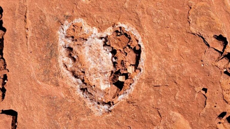 Sedona: The Scientific and Spiritual Vortex Tour - Why the Cost Might Be Worth It