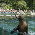 See 30 Top New York Sights (Walking Tour) & Visit Central Park Zoo. - Practical Tips for the Tour
