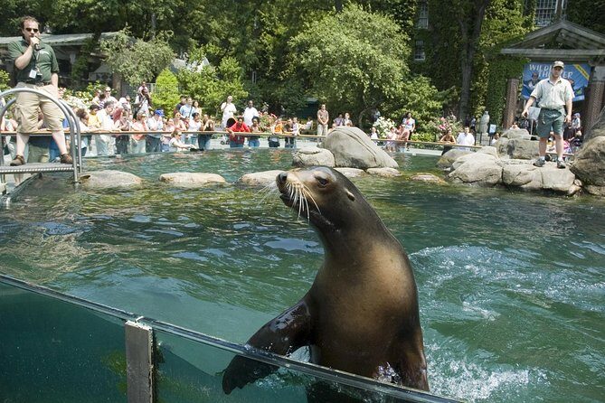 See 30 Top New York Sights (Walking Tour) & Visit Central Park Zoo. - Practical Tips for the Tour