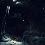 See Auckland's Secret Glow Worms - A Deep Dive into the Glow Worm Experience