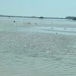 See the 5 Most Visited Points in Progress - Who Should Consider This Tour?