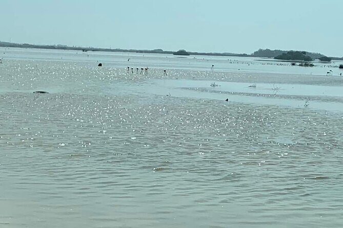 See the 5 Most Visited Points in Progress - Who Should Consider This Tour?