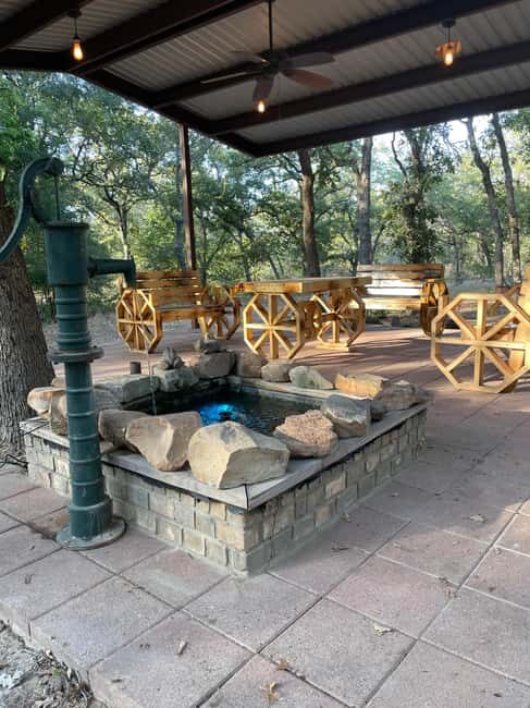 Seguin: Alpaca Experience and Adventure Tour - Whats Included and What You Should Know