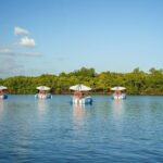 Self Drive BBQ eBoat Cruise with Onboard BBQ Denarau Fiji - Real Experiences & Authentic Insights