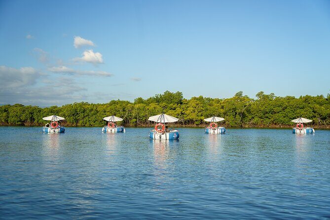 Self Drive BBQ eBoat Cruise with Onboard BBQ Denarau Fiji - Real Experiences & Authentic Insights