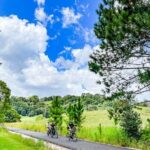 Self Guide E Bike Tour - Husk Distillery, Rainforest & Rail Trail - Final Thoughts