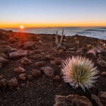 Self-Guided Audio Driving Tour in Haleakala - What the Stories and Tips Add to Your Experience