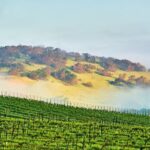 Self-Guided Audio Driving Tour of Sonoma and Napa Valley - FAQ