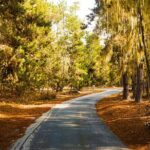 Self Guided Driving Audio Tour of 17 Mile Drive Monterey - Who Will Love This Tour?