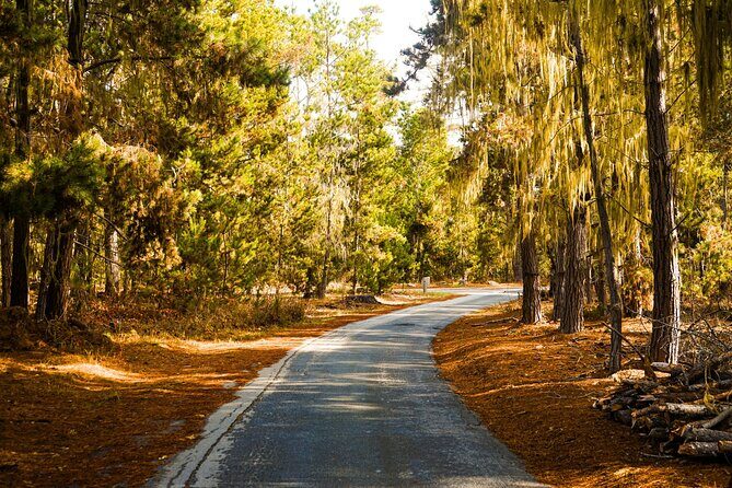 Self Guided Driving Audio Tour of 17 Mile Drive Monterey - Who Will Love This Tour?