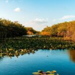Self Guided Driving Audio Tour of Everglades National Park - Why This Tour Is a Winner for Independent Explorers