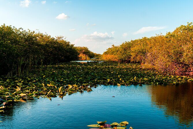 Self Guided Driving Audio Tour of Everglades National Park - Why This Tour Is a Winner for Independent Explorers