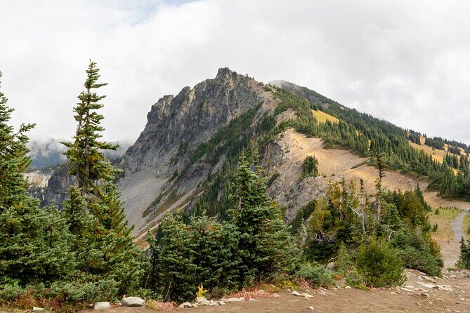 Self Guided Driving Audio Tour of Mount Rainier National Park - An In-Depth Look at the Mount Rainier Audio Tour