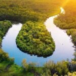 Self-Guided Noosa Everglades Kayak Tour - Who Is This Tour Best For?