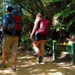 Self-Guided Queen Charlotte Track Walk from Picton - Who Would Love This Tour?