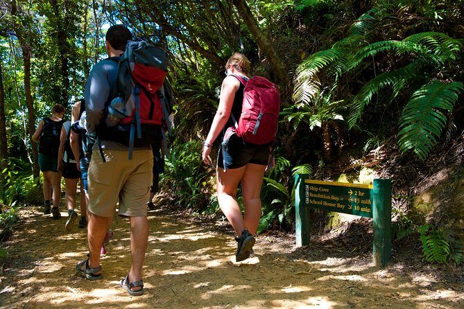 Self-Guided Queen Charlotte Track Walk from Picton - Who Would Love This Tour?