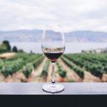 Self Guided Tour of Solvang and Santa Ynez Wine Country - Why Choose This Tour? An In-Depth Look
