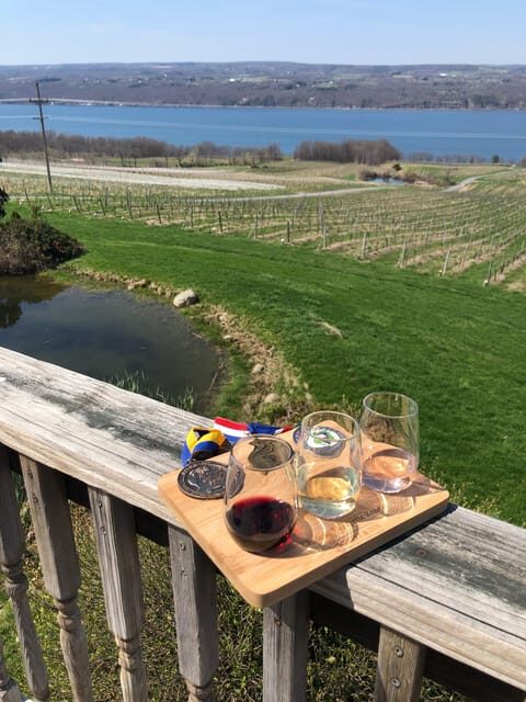 Seneca Lake: Wine Tasting Tour with Lunch - Analyzing the Value and Price
