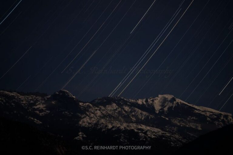 Sequoia National Park: Sherman Tree & Congress Trail Walk - Walk Through the Giants: Sherman Tree & Congress Trail