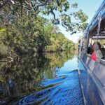 Serenity Cruise to Australia's Everglades - Why You’ll Love the Serenity Cruise