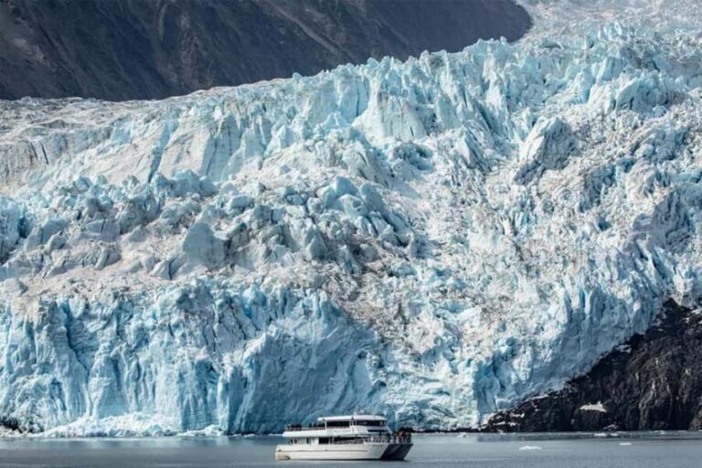 Seward: Captain's Choice Kenai Fjords National Park Tour - Why Travelers Love This Tour