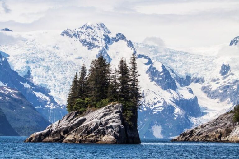 Seward: Kenai Fjords National Park Catamaran Cruise w/Lunch - The Value of This Tour