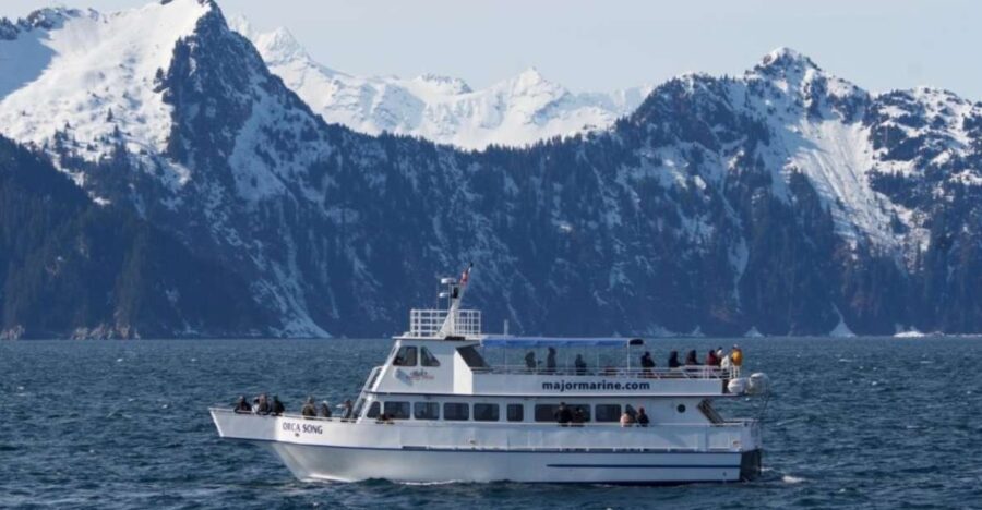 Seward: Spring Wildlife Guided Cruise - Practical Tips for Your Wildlife Cruise