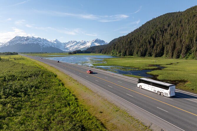 Seward to Anchorage Direct Transfer Tour - Who Would Love This Transfer?