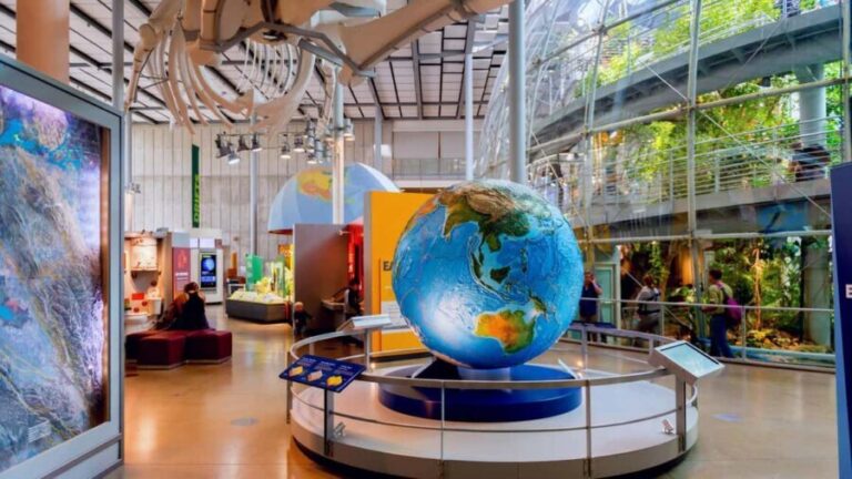 SF: CA Academy of Sciences & Hop-on Hop-off Tour (Save 15%) - A Detailed Look at the Tour Experience