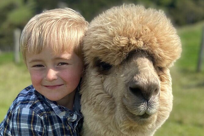 Shamarra Alpaca Farm Tours - Pricing and What You’re Paying For