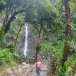 Shared 4.5h Circle Island Tour of Tahiti Nui by Lydia - Practical Details for Tourgoers