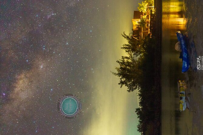 Shared Bioluminescence kayak tour in Holbox - The Details That Matter