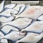 Shared Fishing Adventure in Icy Strait Hoonah Alaska - What to Expect from the Shared Fishing Adventure