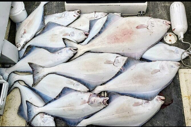 Shared Fishing Adventure in Icy Strait Hoonah Alaska - What to Expect from the Shared Fishing Adventure