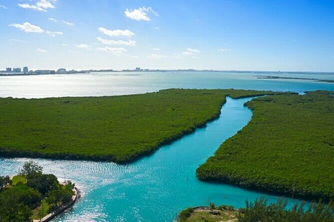 Shared Jungle Speed Boat Tour in Cancun - The Experience in Detail