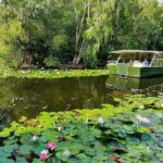 Shared Shuttle Return Transfers (ex Port Douglas) Transfers Only - What to Expect from the Tour