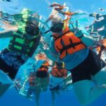 Shared Sky Snorkeling in Cozumel - Frequently Asked Questions