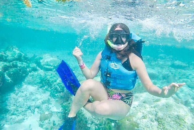 Shared Speedboat Tour: Nichupté Lagoon & Mangrove Adventure - Why This Tour Is a Solid Choice