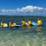 Shared Surfing Lesson In Waikiki with Certified Instructor - Authentic Reviews and Insights