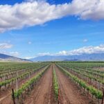 Shared Temecula Wine Tour from in the Valley (near the wineries) - Deep Dive into the Stops