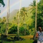 Shared Transfer: Hotel or Cruise Port to Tahiti Airport - Pricing and Value