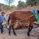 Shared Zapotec Highlights Tour in Oaxaca - What This Tour Means for You