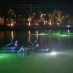 Sharkey's Glass Bottom Fish Feeding LED Night Tour in Venice, FL - Who Is This Tour Best For?