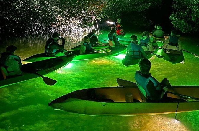 Sharkeys Glass Bottom Fish Feeding LED Night Tour Key West - Final Thoughts: Why Choose This Experience?