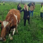 Sheep & Beef Working Farm Private Tour - What to Expect on the Itinerary