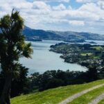 Shore Excursion: Dunedin City, Otago Peninsula, Castle Gardens & Olveston Tour - Transportation and Group Size: Why It Matters