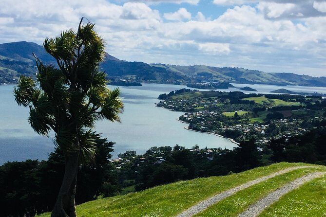 Shore Excursion: Dunedin City, Otago Peninsula, Castle Gardens & Olveston Tour - Transportation and Group Size: Why It Matters