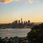 Shore Excursion from Auckland - Private Tour & Wine Tasting - A Deep Dive into What You Can Expect